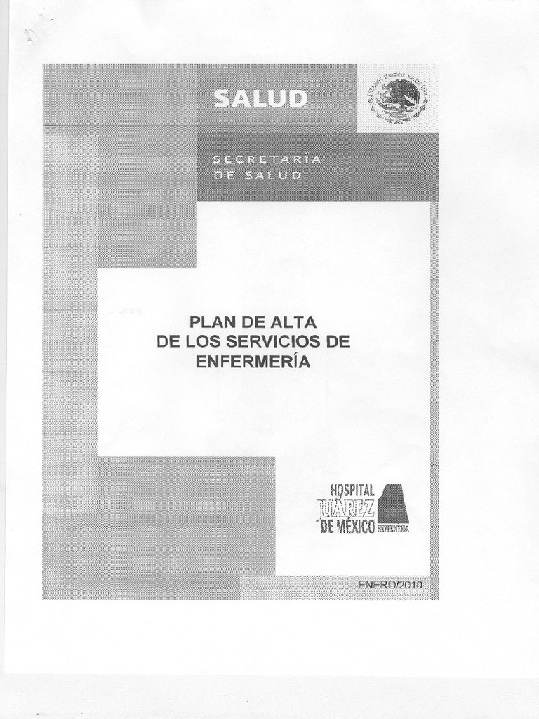 Plan de Alta PDF | PDF