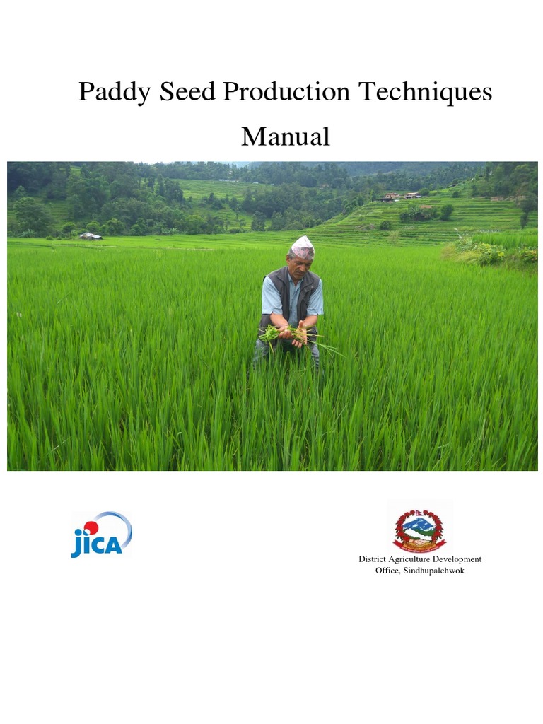 Paddy Seed Production Techniques Manual | PDF