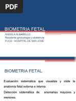 Carnet Del Embarazo | PDF