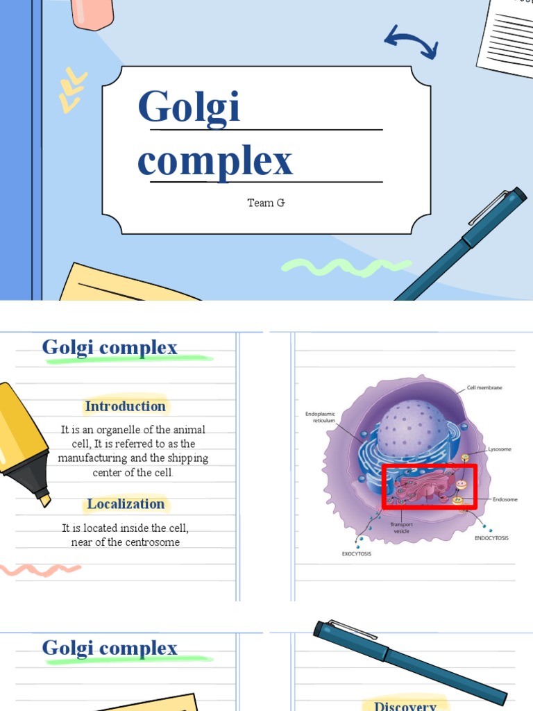 Golgi Complex | PDF