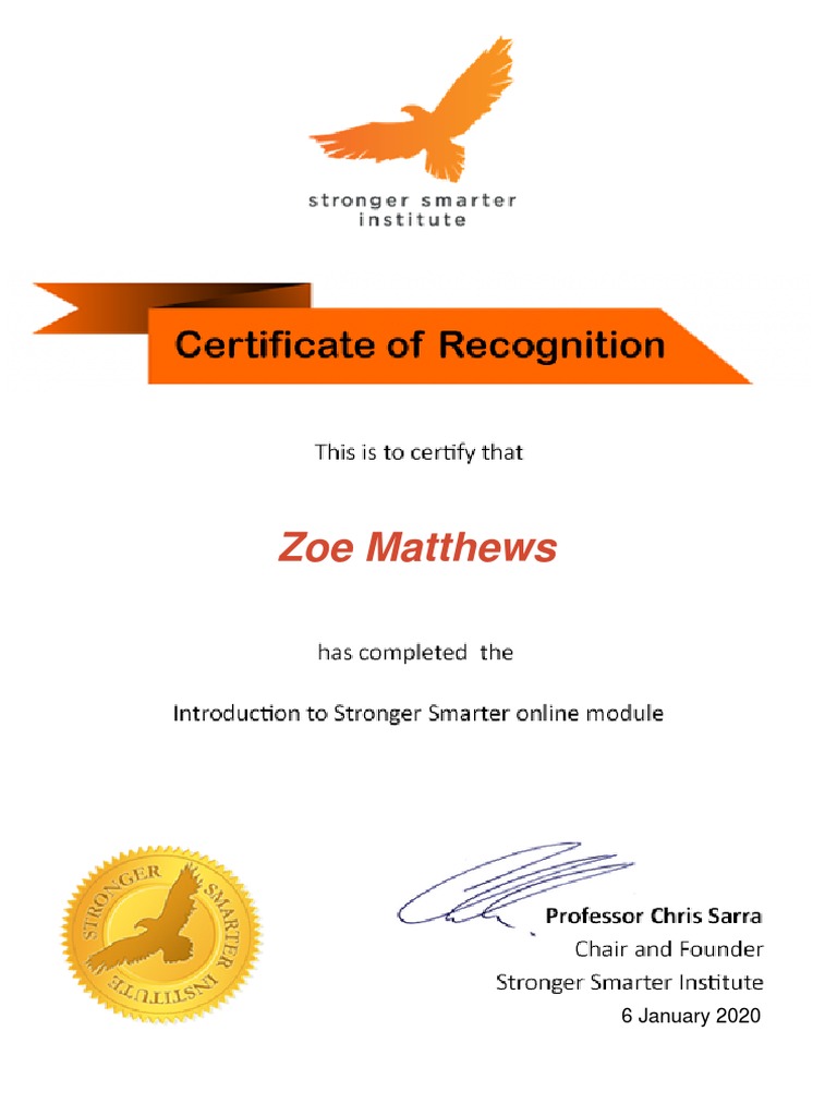 Stronger Smarter Institute | PDF