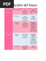 Miotomas - Definición y Pruebas - Kenhub | PDF | Codo | Neuroanatomía
