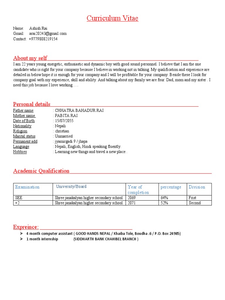 CV of Ashish Rai | PDF