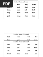 SATPIN CVC Words Worksheet | PDF