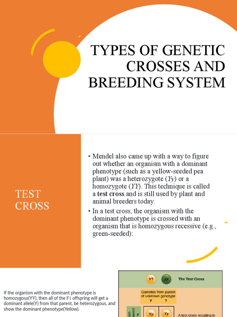 Types of Crosses and Breeding System | PDF | Dominance (Genetics ...