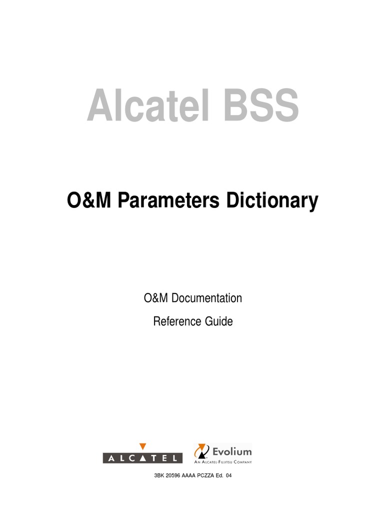 O&m Parameters Dictionary | PDF | General Packet Radio Service | Telecommunications Standards