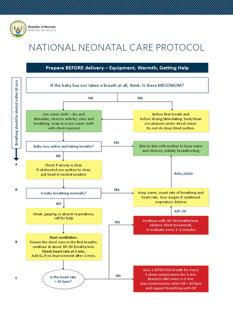 National Neonatal Care Protocol: Prepare BEFORE Delivery - Equipment ...