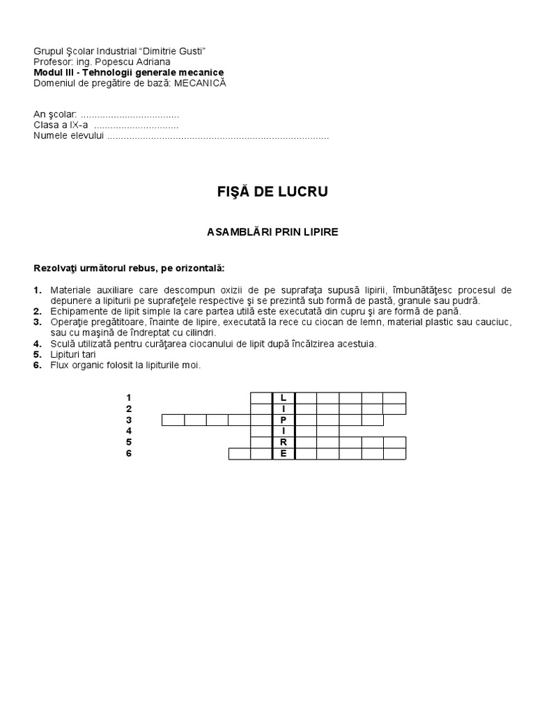 Fisa Lucru Rebus Lipire Ix | PDF