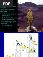 ASTM D6866 For Biobased Products | PDF | Radiocarbon Dating | Carbon ...