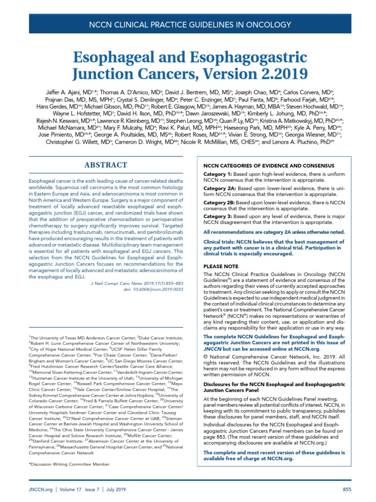 Esophageal and Esophagogastric Junction Cancers, Version 2.2019 | PDF ...