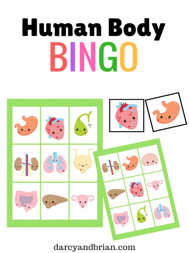 Human Body Bingo Printable PDF | PDF