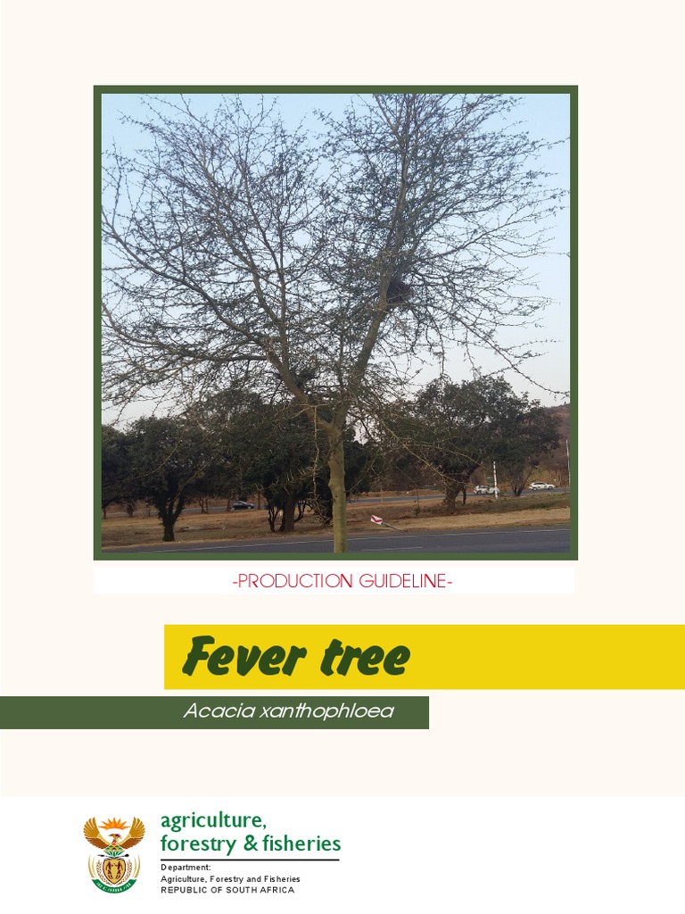 Fever Tree: Agriculture, Forestry & Fisheries | PDF | Sowing | Trees