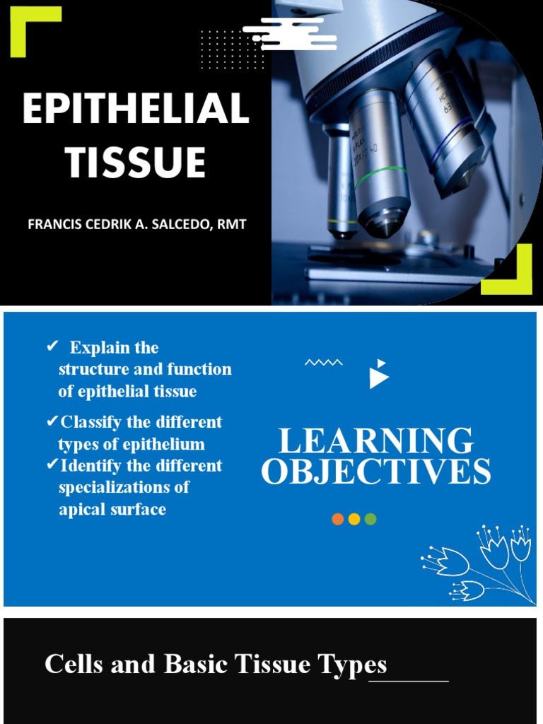 Epithelial Tissue Teaching Demo | PDF | Epithelium | Histology