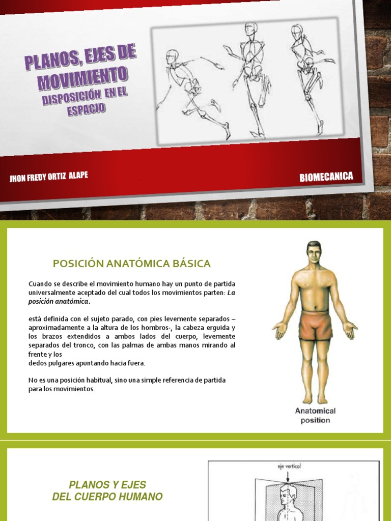 Planos y Ejes Corporal 7 Octubre 2020 PDF | PDF | Naturaleza ...