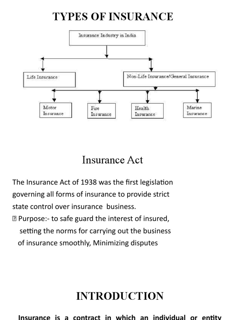 Insurance Types | PDF