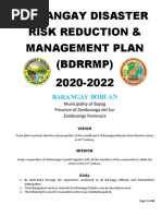 RA 10121 - DRRM Act Tagalog | PDF