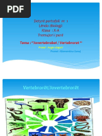 Biologji Riprodhimi Te Shtazët L.H | PDF