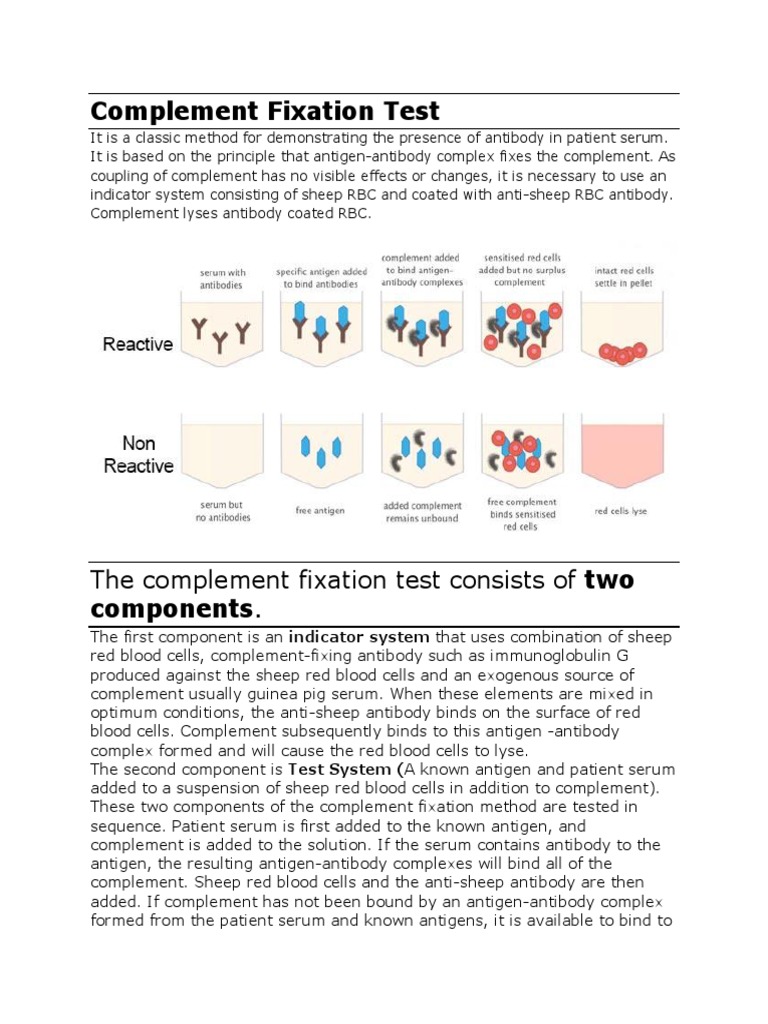 Complement Fixation Test تقرير د-حيدر-محول | PDF | Complement System ...