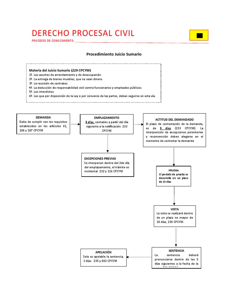 Esquema Juicio Sumario | PDF | Demanda judicial | Sentencia (ley)