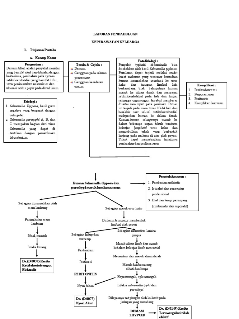 Woc Demam Typhoid | PDF