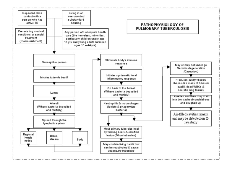 PATHOPHYSIOLOGY-PTB - Final | PDF | Tuberculosis | Medical Specialties