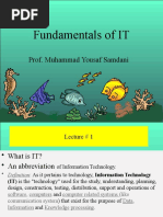 Introduction To Computing | PDF | Information Technology | Computer Science