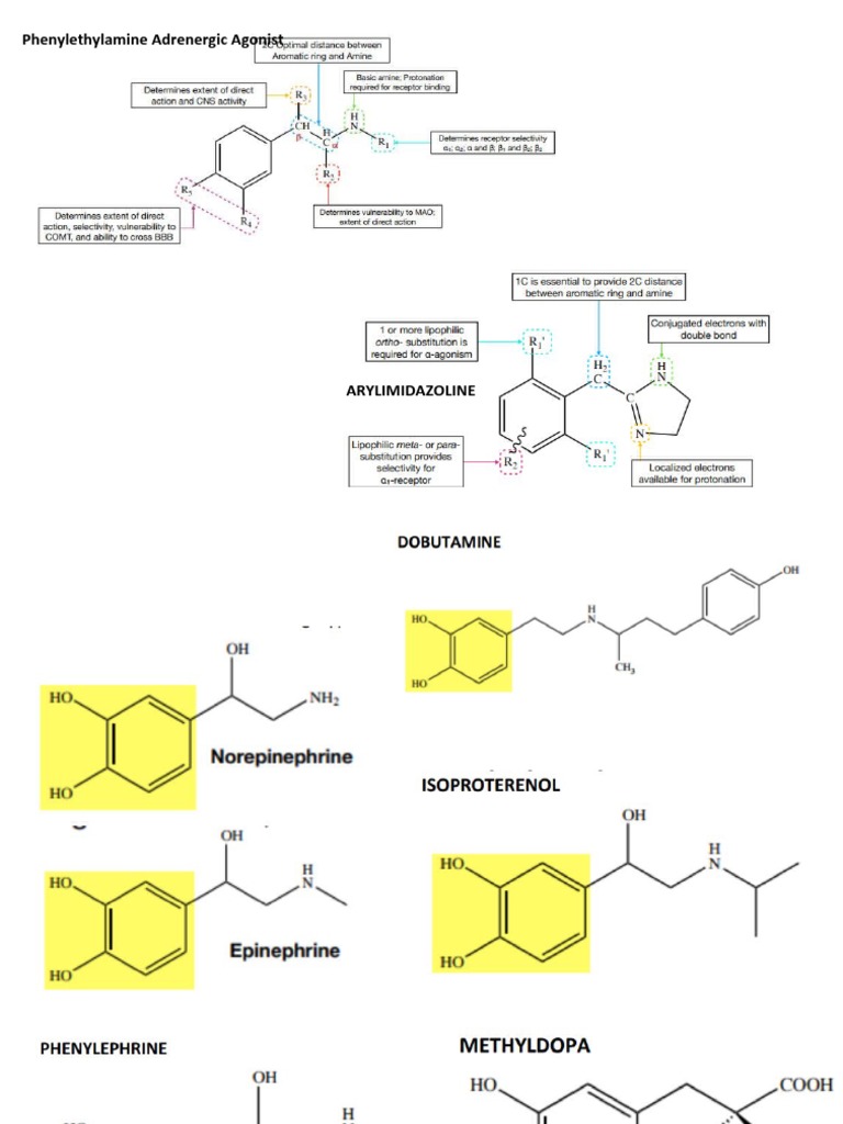 Phenylethylamine Adrenergic Agonist | PDF