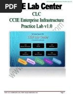 CCIE Enterprise Infrastructure Lab v1.0 - Practice Lab - Topology | PDF
