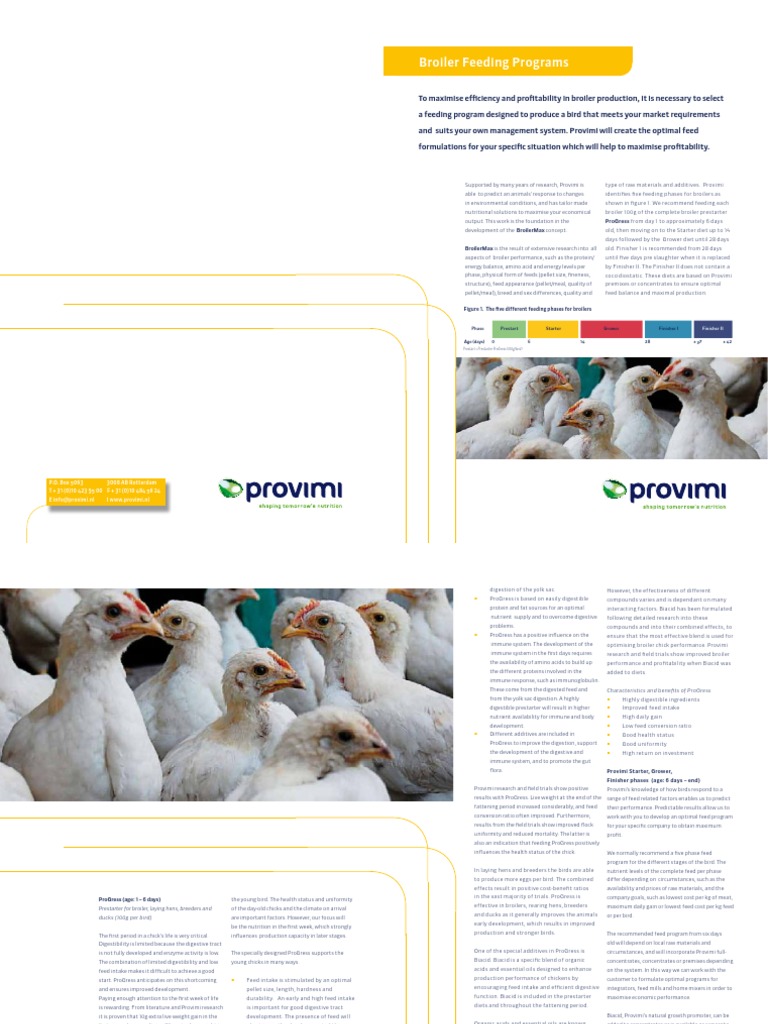 Optimizing Broiler Feeding Programs | PDF | Birds | Broiler