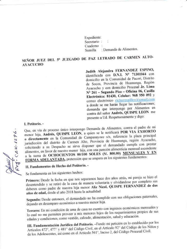 Demanda Yudit PDF | PDF | Matrimonio, Sindicatos Y Alianzas | Familia