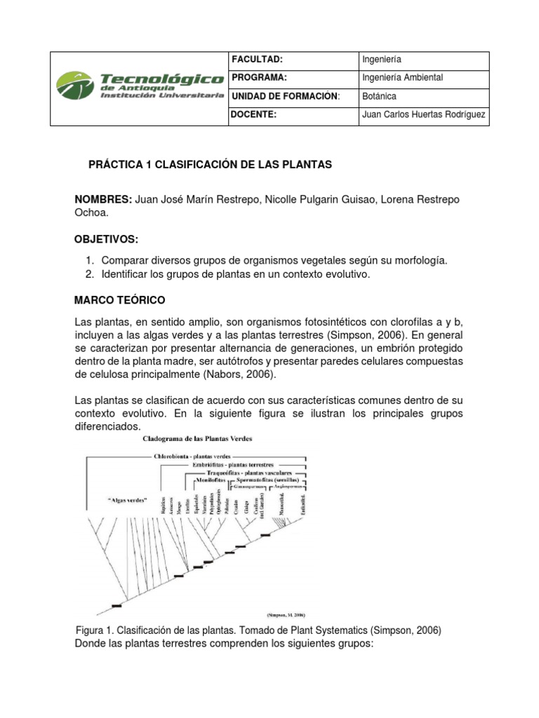 Laboratorio de Clasificacion y Tejidos Vegetales | PDF | Plantas ...