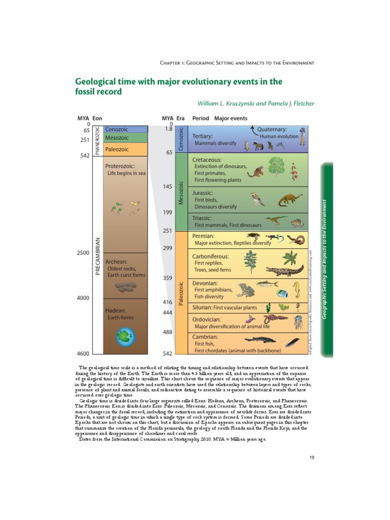 Geological Time With Major Evolutionary Events in The Fossil Record ...