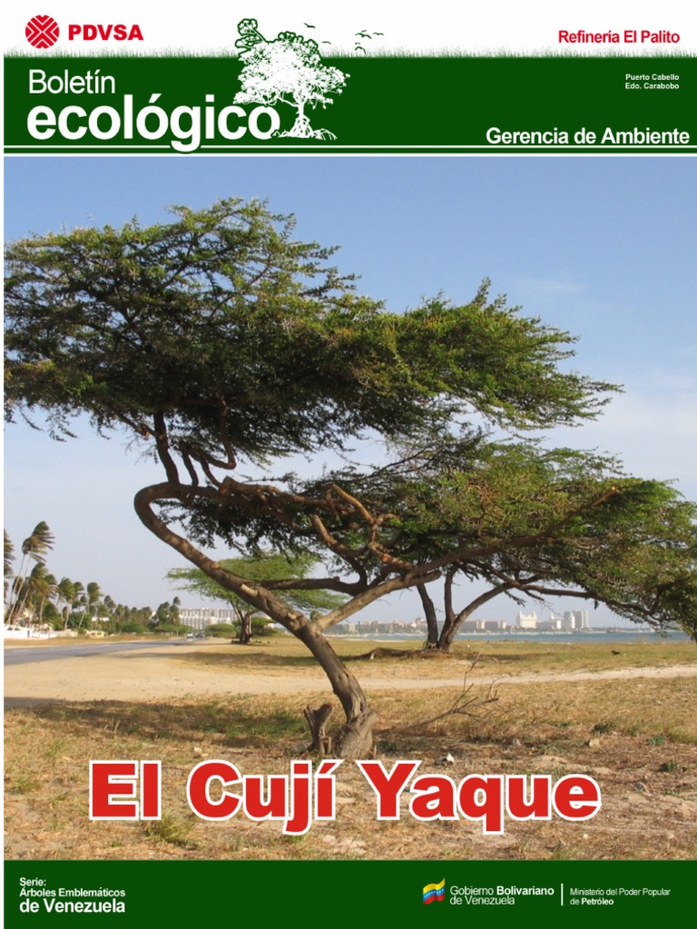 El Cuji PDF | PDF