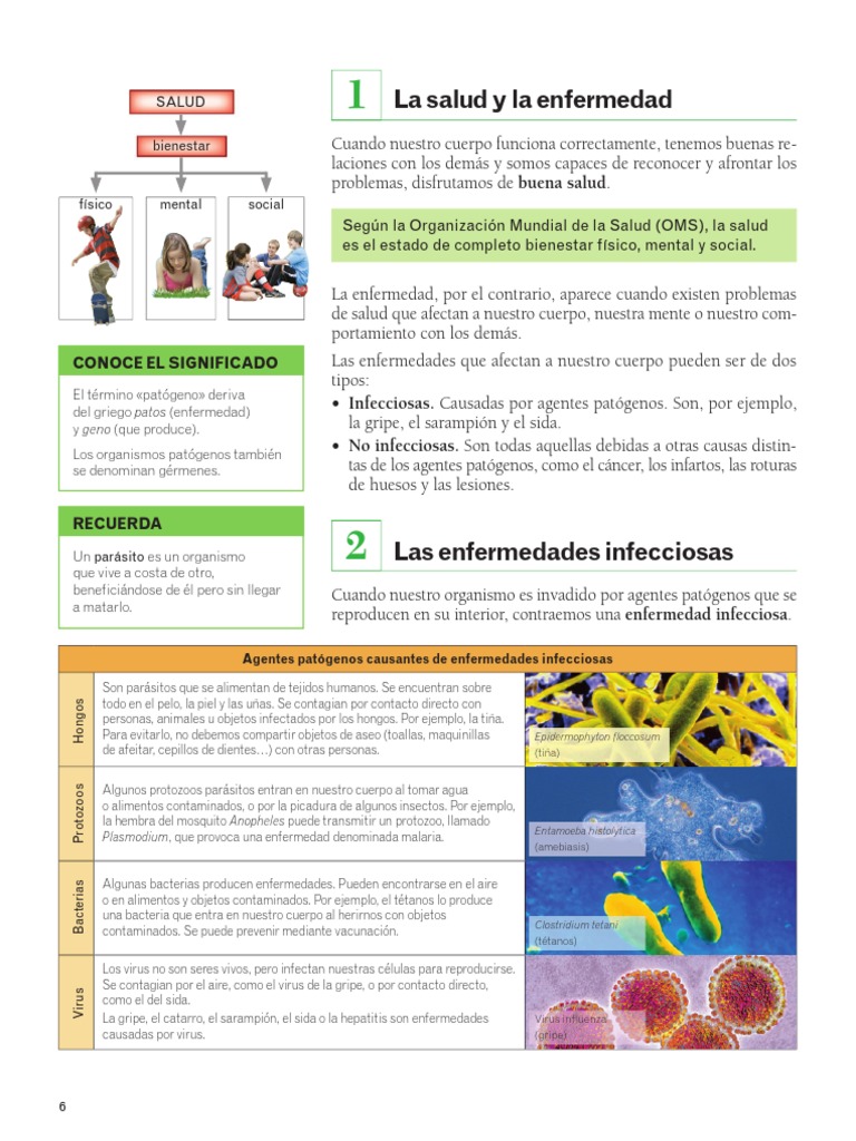 Unidad Repaso - Vida Sana | PDF | Fagocito | Sistema inmune