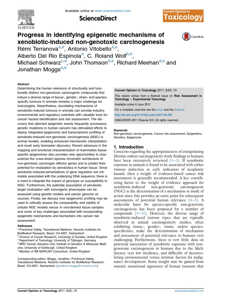Progress in Identifying Epigenetic Mechanisms of Xenob - 2017 - Current ...