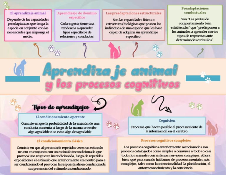 Mapa Mental Aprendizaje Y Cognicion Pdf Pdf Comportamiento