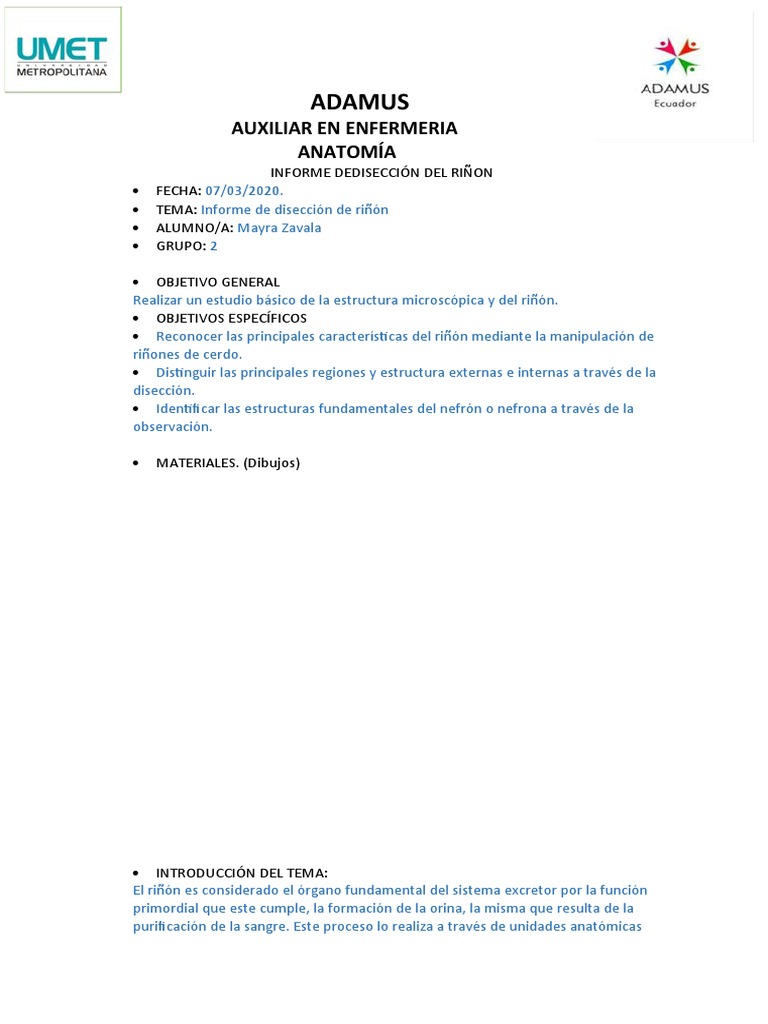ADAMUS | PDF | Riñón | Sistema urinario