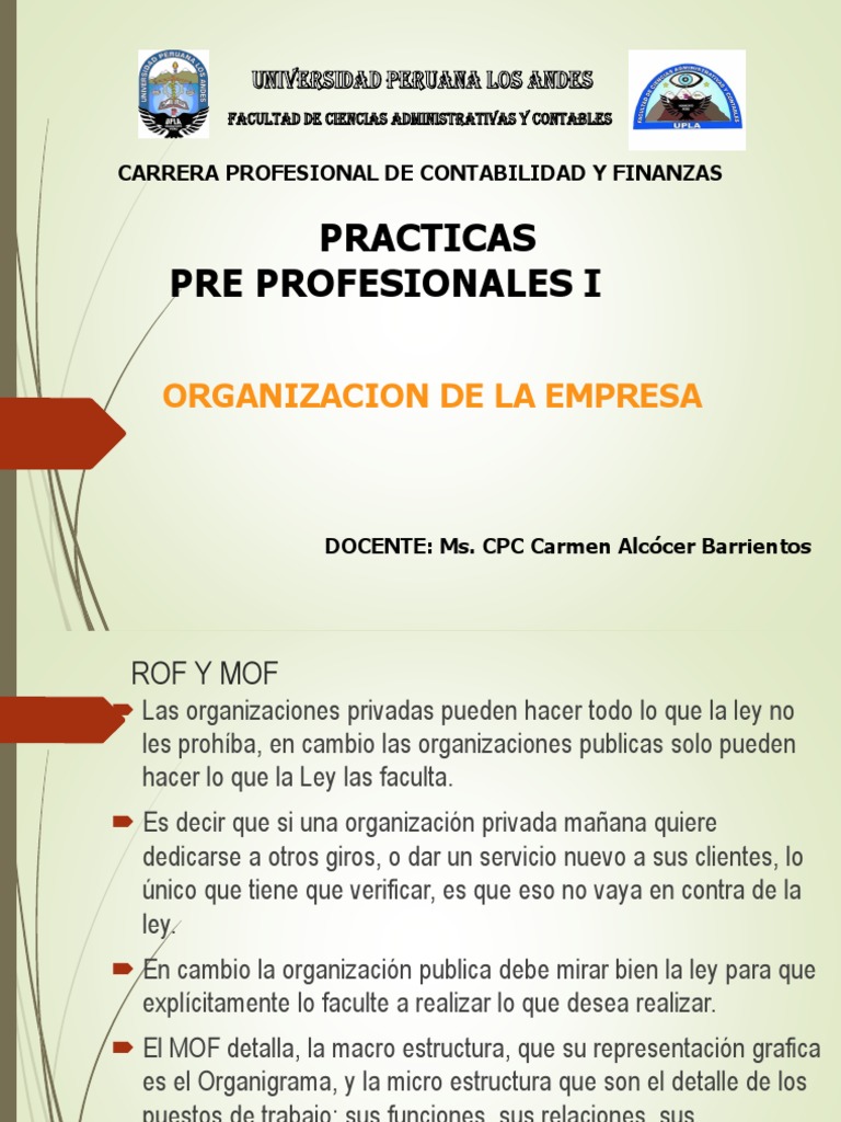 Organizacion de La Emp. | PDF | Regulación | Contabilidad