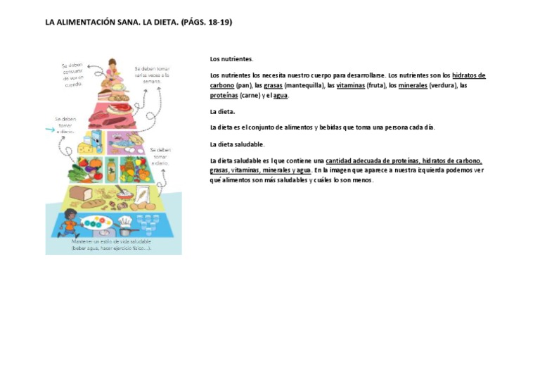 ESQUEMA La Alimentación Sana, La Dieta | PDF