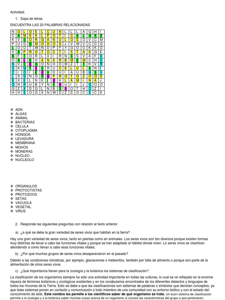 Sopa de letras y clasificación de seres vivos | PDF | Protozoos ...