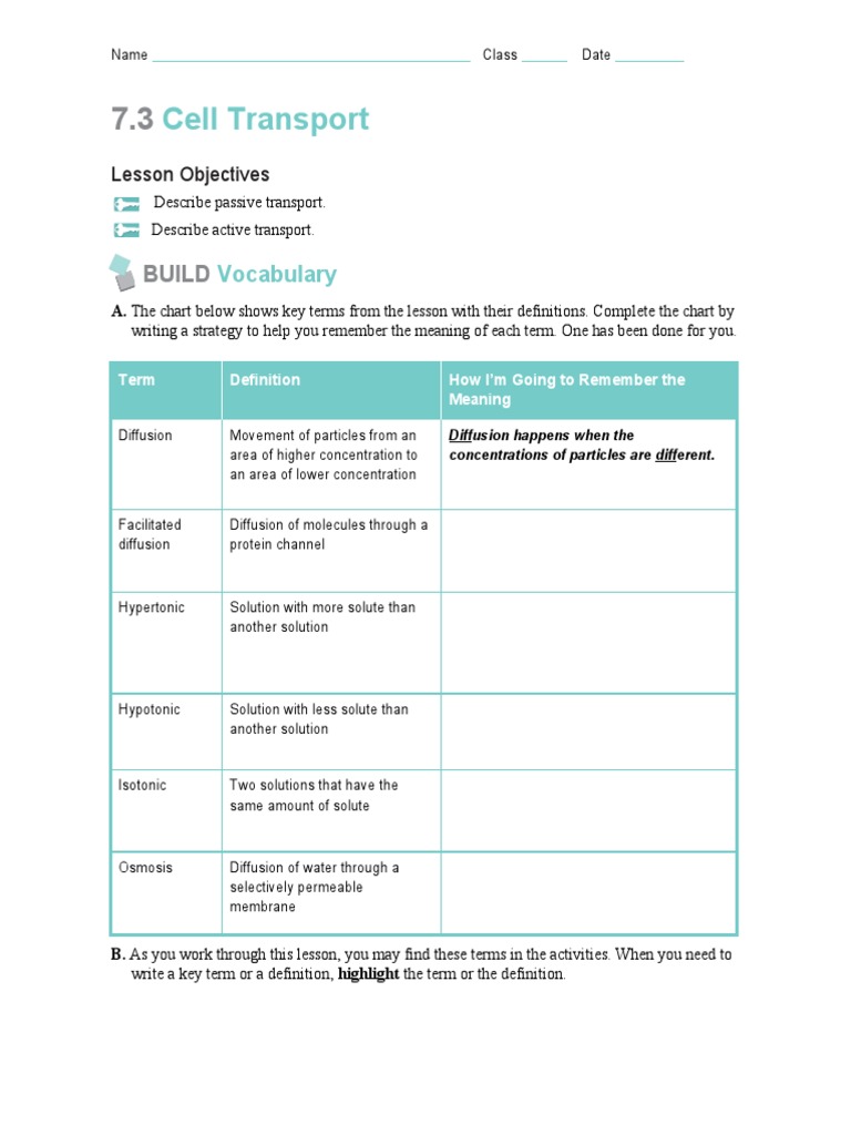 7.3 Cell Transport - Lesson - Review - Workbook | PDF | Cell Membrane ...