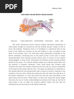 Grade 12 Life Science The Ear PDF | PDF | Ear | Hearing