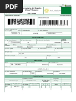 Rut de Una Empresa Como Ejemplo | PDF | Gobierno | Economias