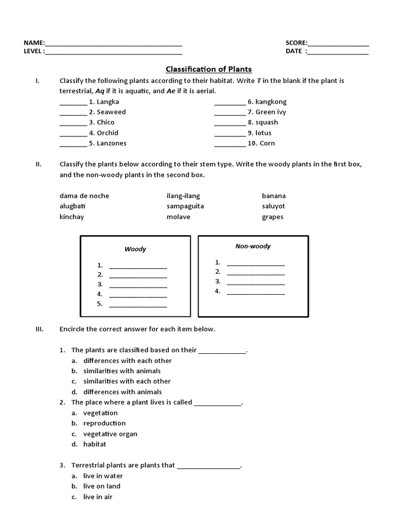 Plant Classification Worksheet for Grade 5 | PDF | Plant Reproduction ...