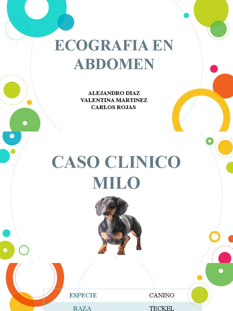 Caso Clinico Milo | PDF | Abdomen | Ultrasonido médico