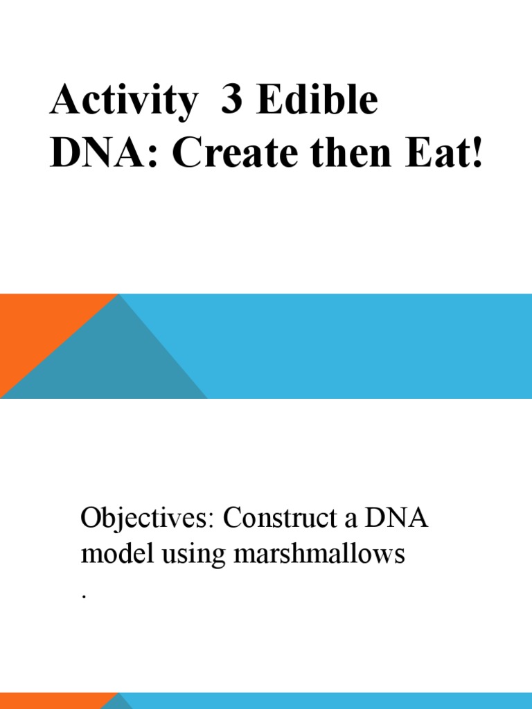 DNA Model Activity for Kids | PDF