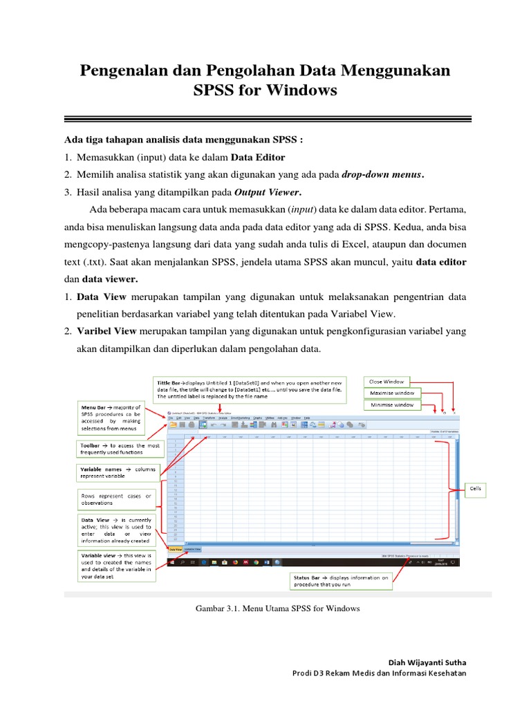 Pengenalan Dan Pengolahan Data Menggunakan SPSS For Windows PDF | PDF ...