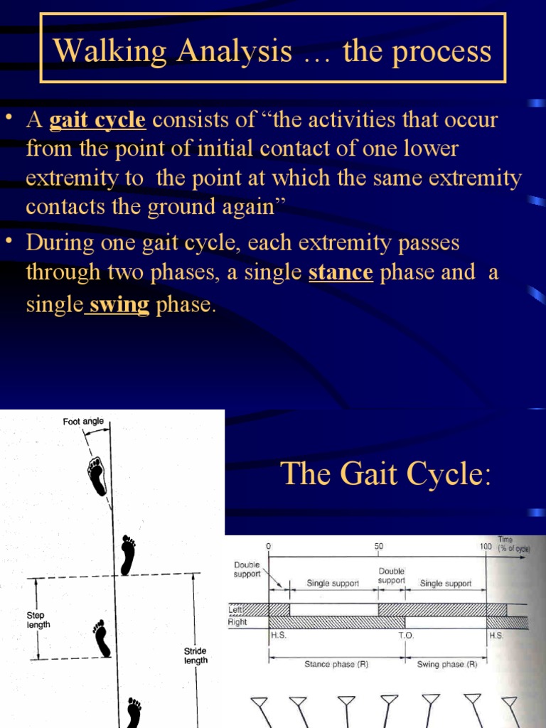 Walking Analysis The Process | PDF | Anatomical Terms Of Motion ...