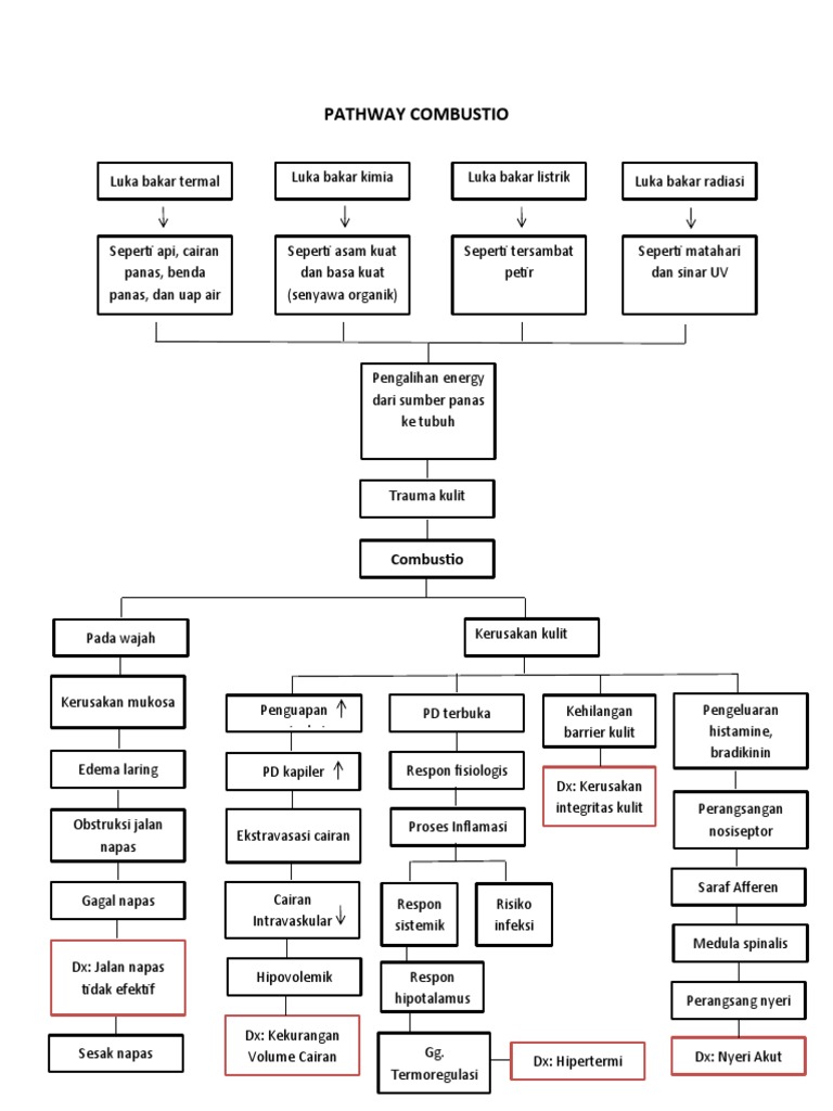 Pathway Combus | PDF