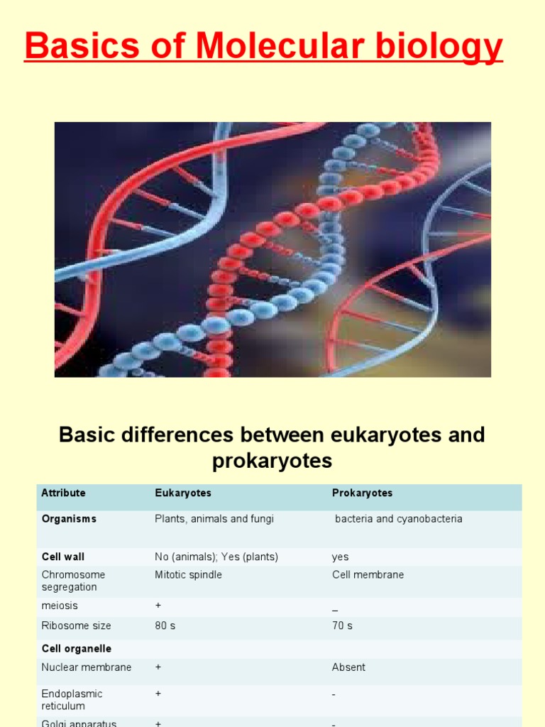 Basics of Molecular Biology | PDF